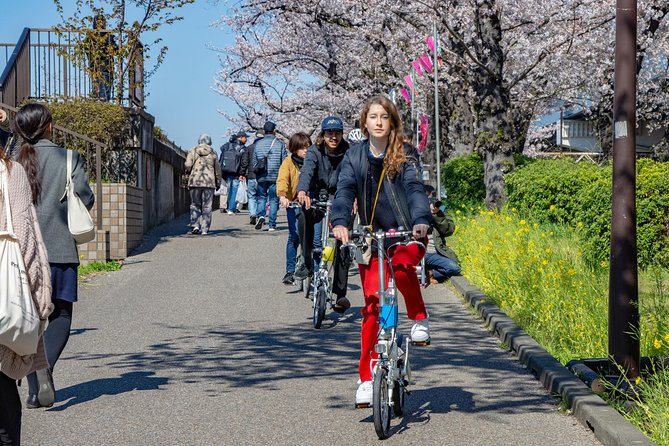 2.5 Hour-Guided Cycle Tour in the Central Tokyo | Power Traveller