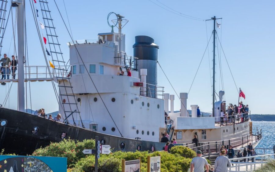 Albany: Albanys Historic Whaling Station Entry Ticket | Power Traveller