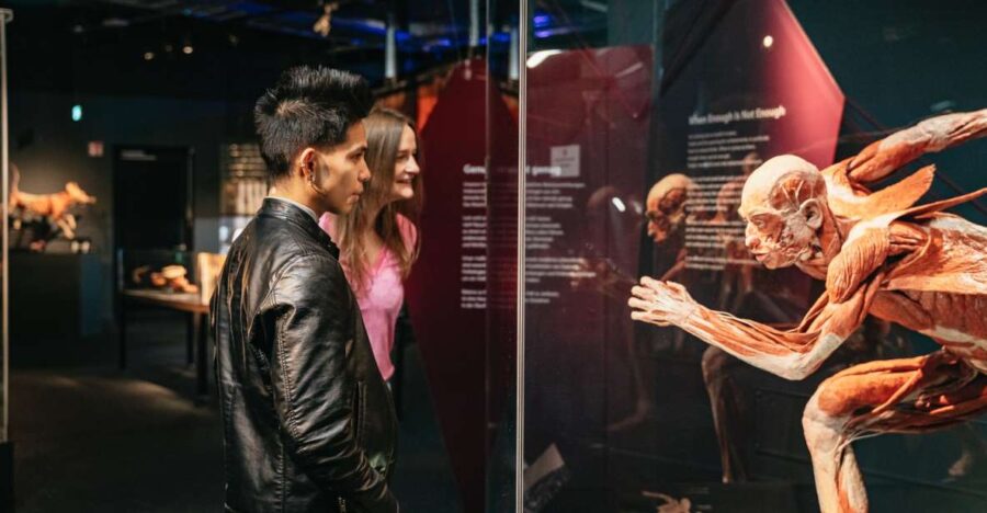 Berlin: Tickets for the BODY WORLDS Museum in Berlin | Power Traveller