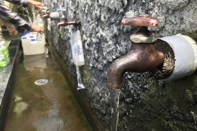 Best Price for 2-6 People! Mt Fuji & Natural Water Private Tour | Power ...