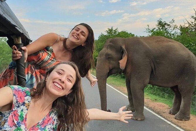 Budget Tours Sri Lanka With 7 Nights Accommodation | Power Traveller