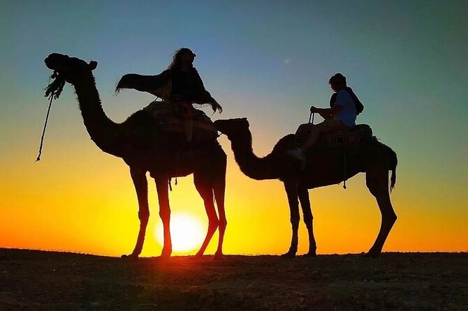 Dinner Under the Stars Desert Agafay & Sunset Camel Ride | Power Traveller