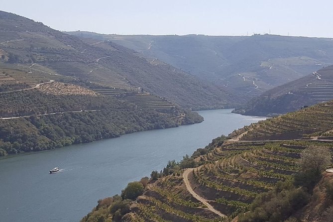 Douro Valley Tour: Wine Tasting River Cruise and Lunch From Porto ...