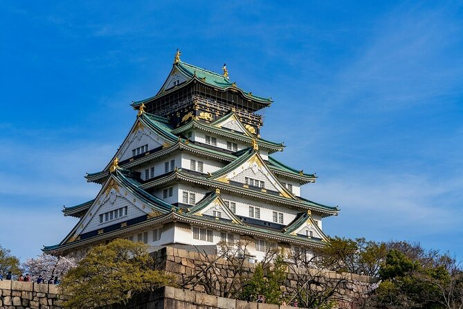 Explore Osaka Hotspots in 1 Day Walking Tour From Osaka | Power Traveller