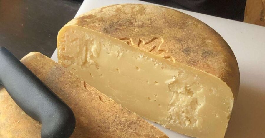 French Basque Country Farms & Food Tour | Power Traveller