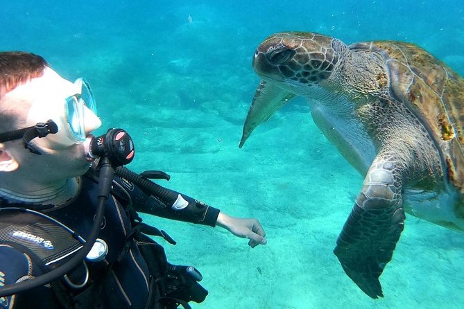 Intro Scuba Diving Experience in Hurghada | Power Traveller