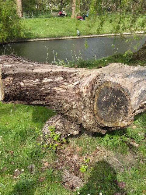 London: A Perfect Day | Power Traveller