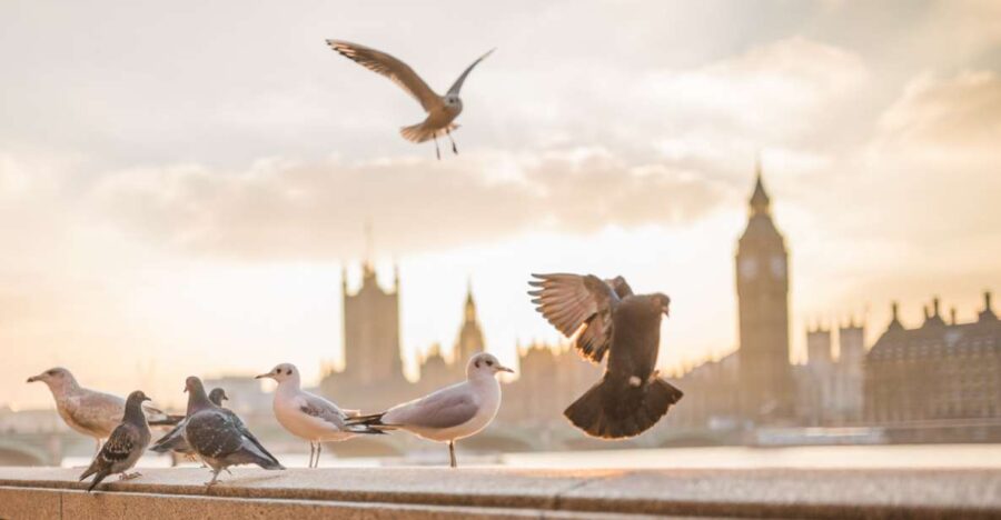 London: First Discovery Walk and Reading Walking Tour | Power Traveller