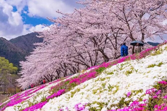 Mt. Fuji Day Tour From Shinjuku in Tokyo Japan | Power Traveller