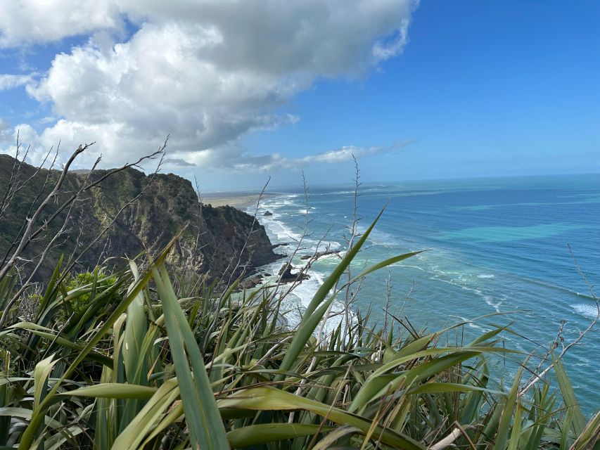 2 Best Tours In Auckland Region | Power Traveller