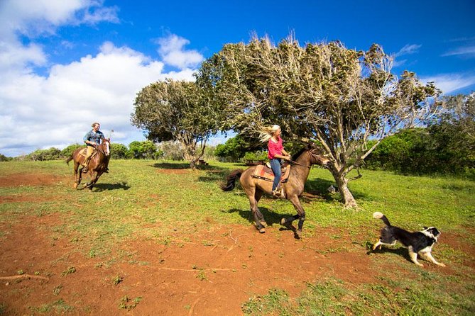 Private Advanced Trail Ride | Power Traveller