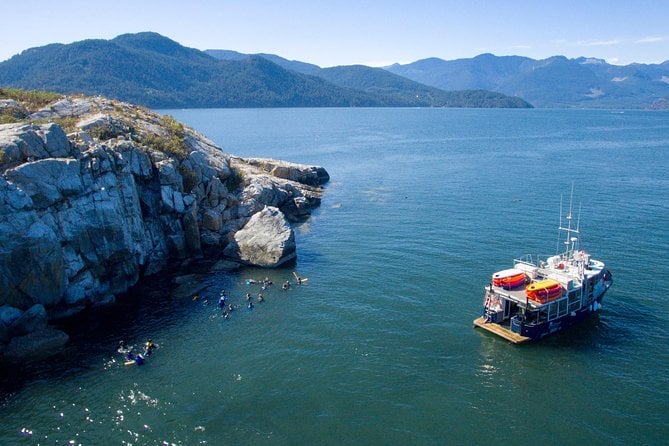 Snorkel, Kayak, and Seal Adventure: Vancouver Boat Tour | Power Traveller