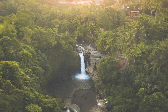 Ubud Day Tour: Sacred Monkey Forest, Tegenungan Waterfall, Rice Terrace ...