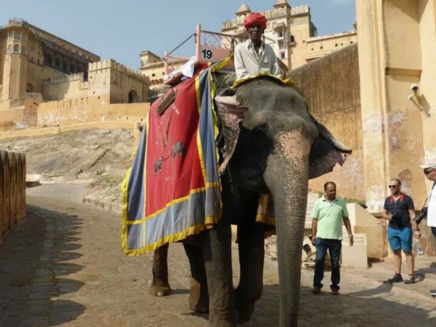 15 Days Royal Rajasthan Fort & Palace Tour From Delhi | Power Traveller