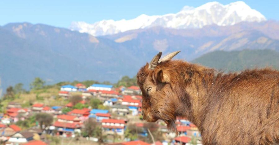 3-Day Ghale Gaun Homestay Experience From Kathmandu
