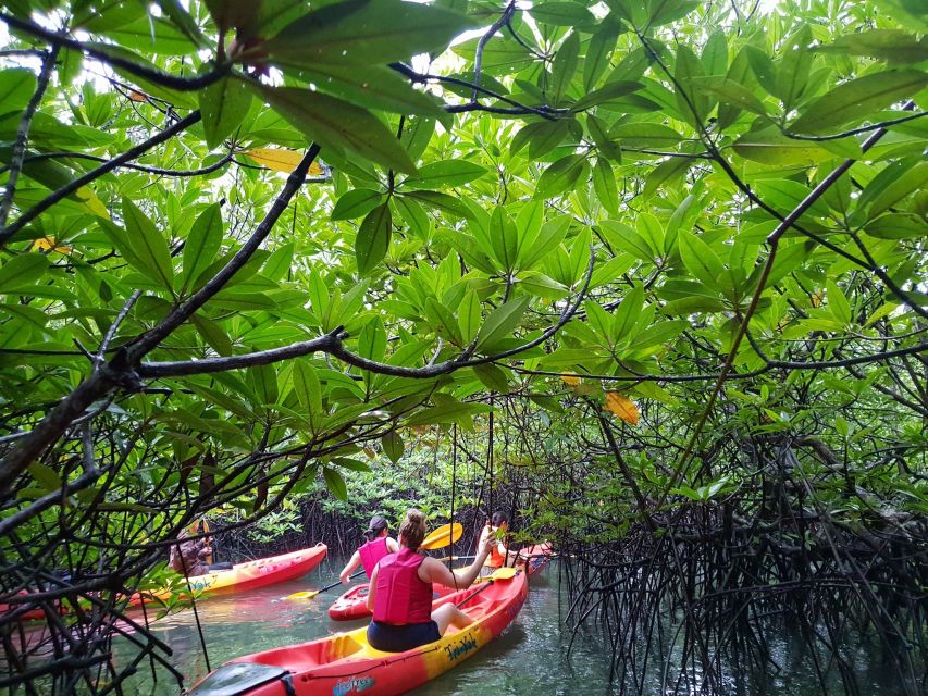 4 Waters Eco Adventure | Power Traveller