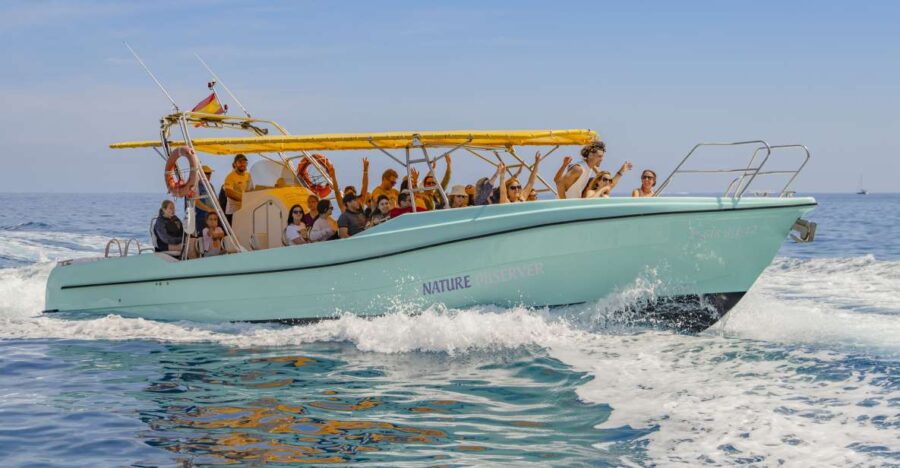 Alcudia: Coll Baix Beach & Sea Caves Cruise With Snorkeling | Power ...