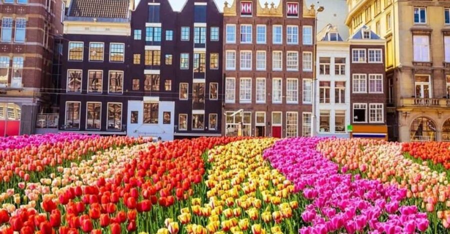 Amsterdam: Red Light District Walking Tour | Power Traveller