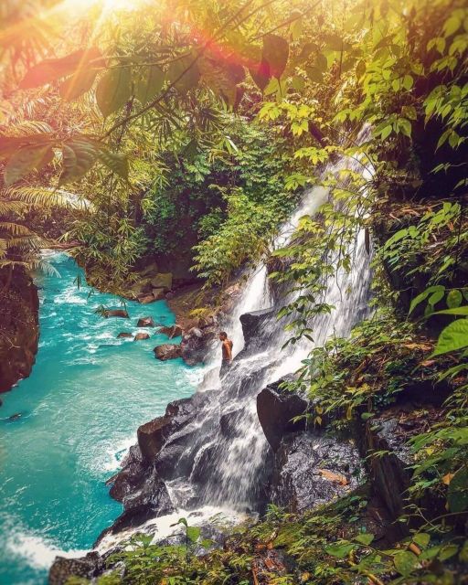 Bali: Monkey Forest, Rice Terrace & Local Night Market Tour | Power ...