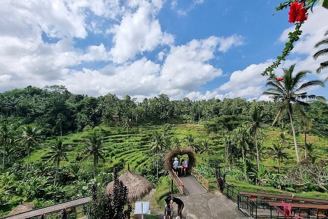 Best Of Ubud Private Tour With Jungle Swing Experience