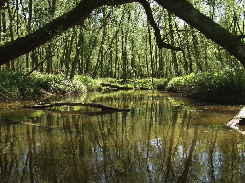 Biesbosch: Boat Cruise Through National Park | Power Traveller
