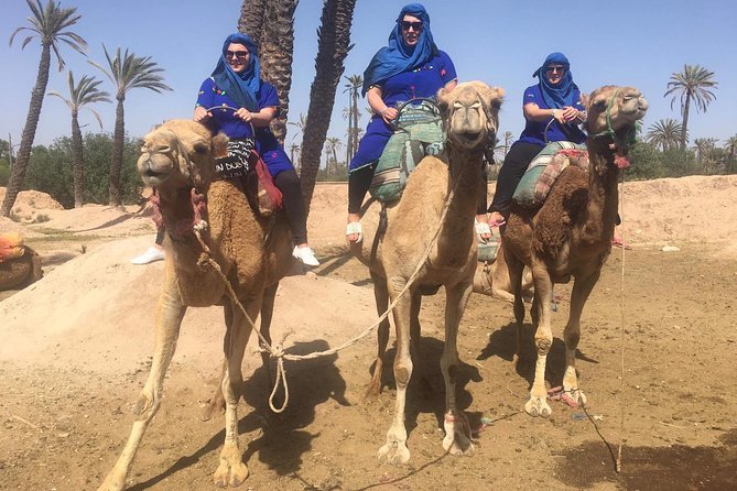 Camel Ride in Marrakech Desert Palmgrove | Power Traveller