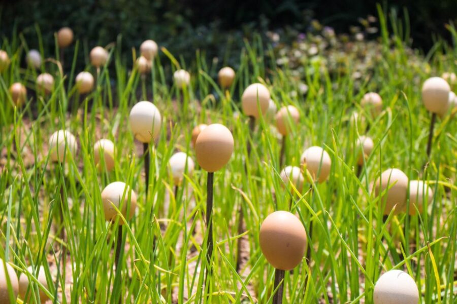 Chiang Mai Local Village Exploring With Weaving Experience | Power ...