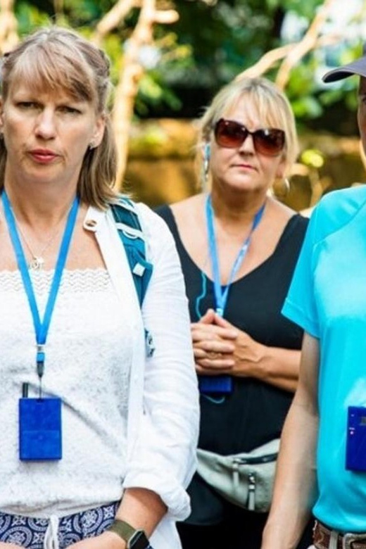 Dublin: Highlights and Hidden Gems Walking Tour | Power Traveller