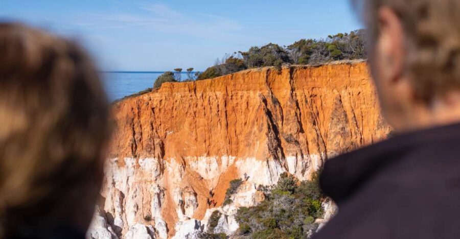 Eden: 2 Hour Highlights Tour, Nature, Beaches and Lookouts | Power ...