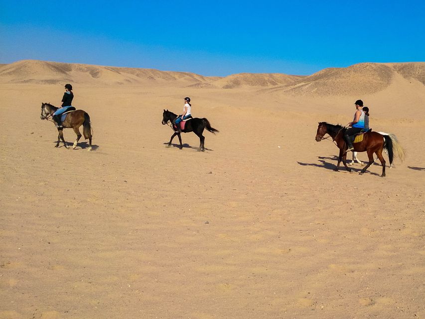 El Gouna: Desert & Sea Horse Riding With Swimming Optional | Power ...