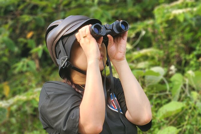 Endangered Monkeys Watching - Red Shanked Douc Langurs | Power Traveller