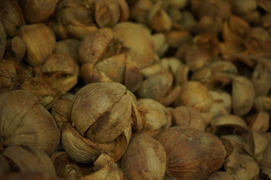 From Bangkok: Thaka Floating Market | Power Traveller