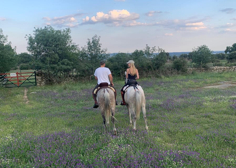 From Madrid: Horseback Riding Experience | Power Traveller