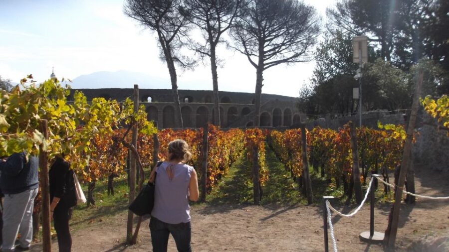 From Rome: Pompeii and Vesuvius Private Full-Day Tour | Power Traveller