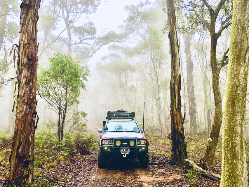 From Sydney: 2-Day Blue Mountains Camping 4WD & River Cruise | Power ...