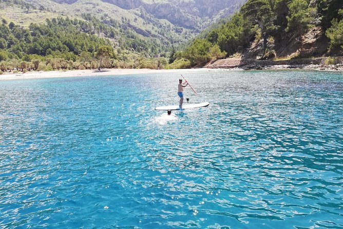 Full-Day Sailing Excursion Along the Coast | Power Traveller