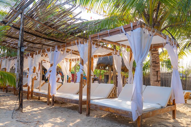 Full-Day Tour Isla Baru - National Aviary of Colombia and Playa Blanca ...