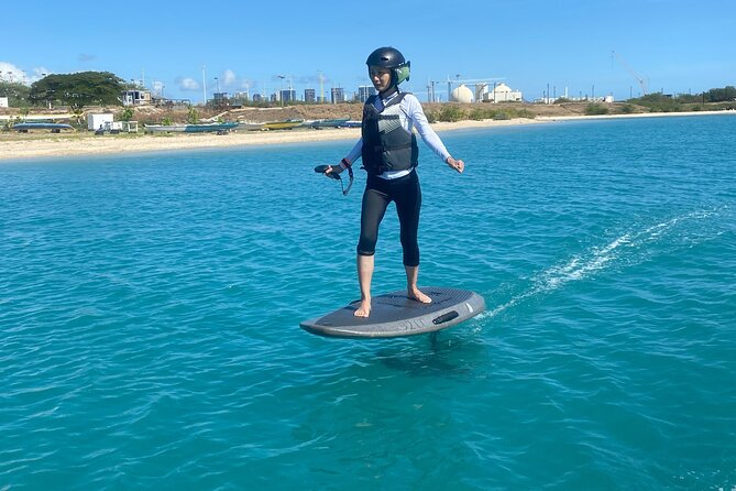 Group of 2 + Mid Length Efoil Experience Honolulu HAWAII | Power Traveller