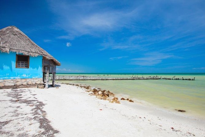 Holbox Island Tour Departure From Cancun | Power Traveller