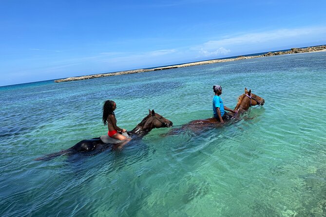Horseback Ride and Swim Tour In Montego Bay | Power Traveller
