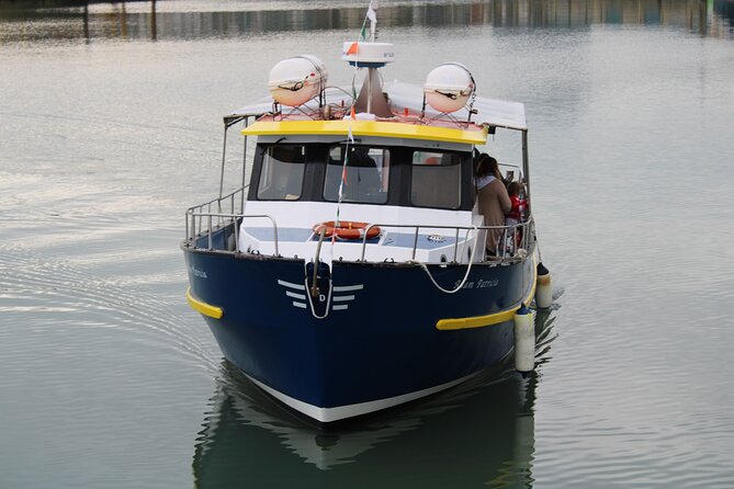 Howth Cliff Cruises | Power Traveller
