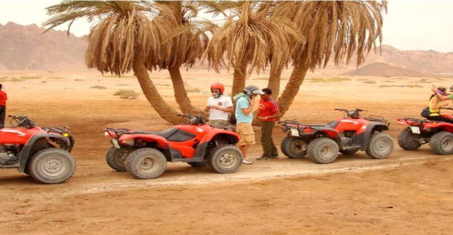 Hurghada: Quad Desert Safari With Camel Ride and Transfer | Power Traveller