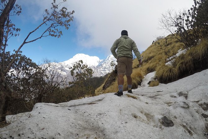 Mardi Himal Trekking | Power Traveller
