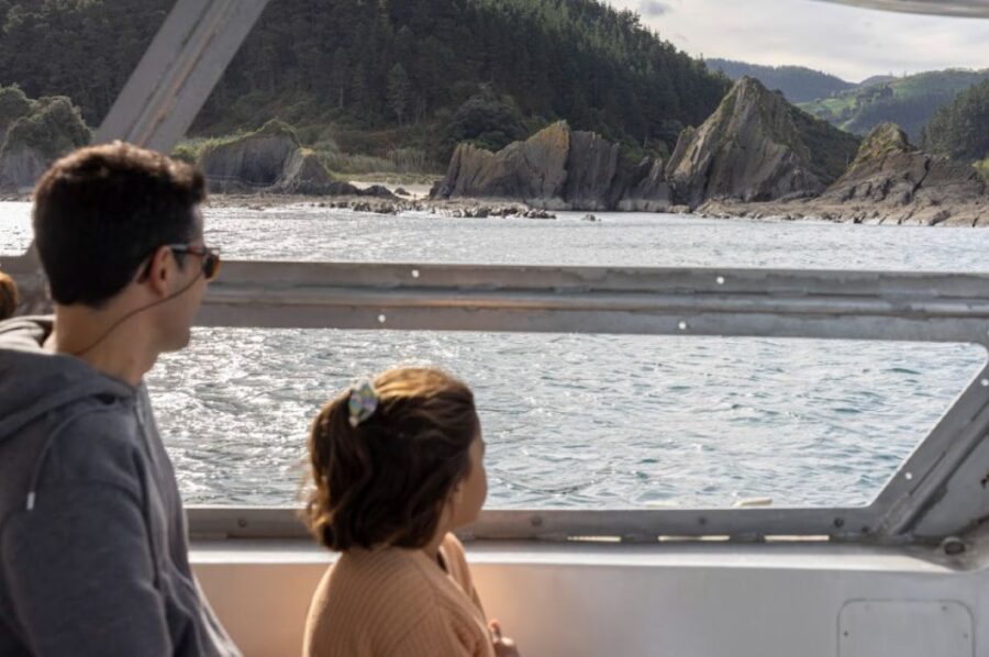 Mutriku: Nautilus Flysch Fossils Experience