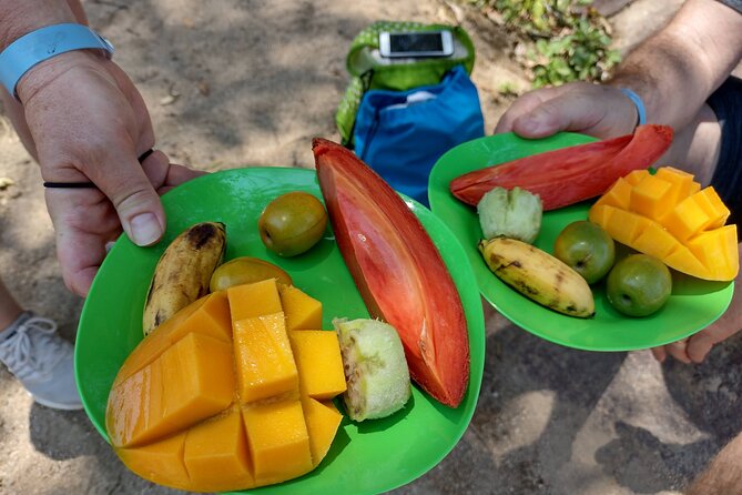 Natural Route, Hiking, Snorkeling and Boat Ride | Power Traveller