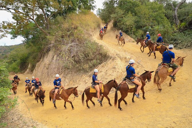 Outdoor Zip Line Adventure | Power Traveller