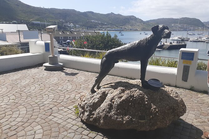 Private Cape Point / Peninsula Tour | Power Traveller