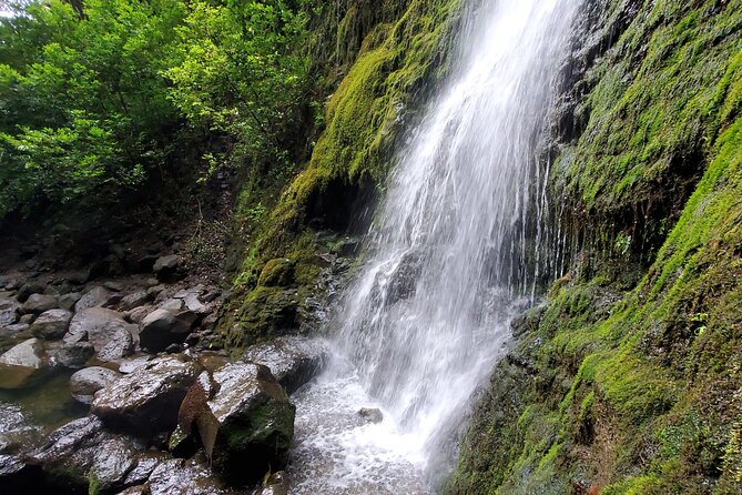 Private Guided Adventure With Jungle Waterfalls | Power Traveller