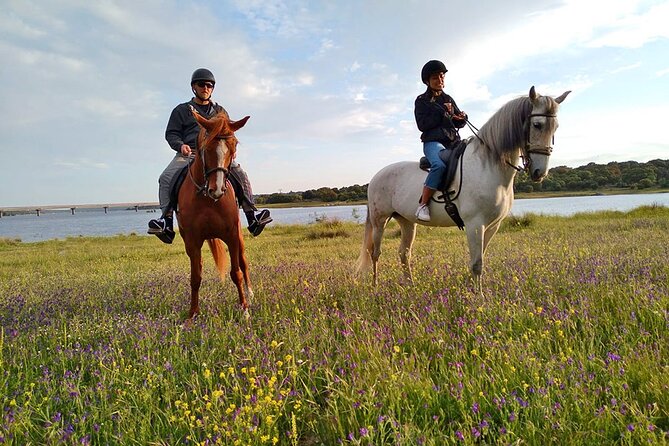 Private Horse Ride in Madrid Natural Park Reserve | Power Traveller