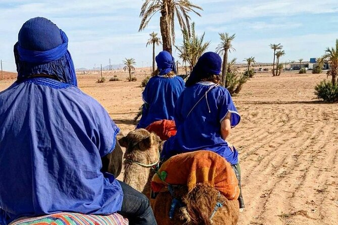 Quad Ride in the Palmeraie Marrakech | Power Traveller